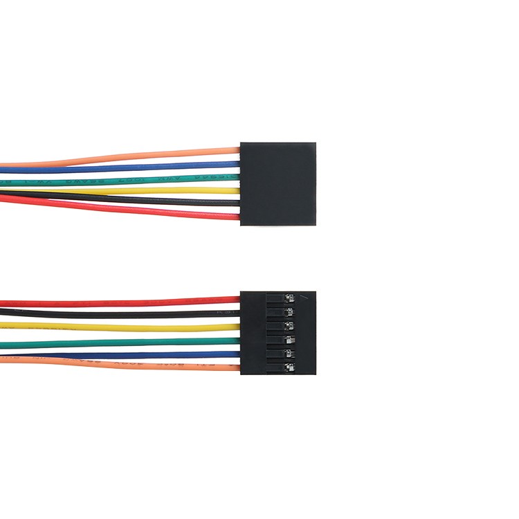 30CM 6 Pin Female to Female Dupont Cable